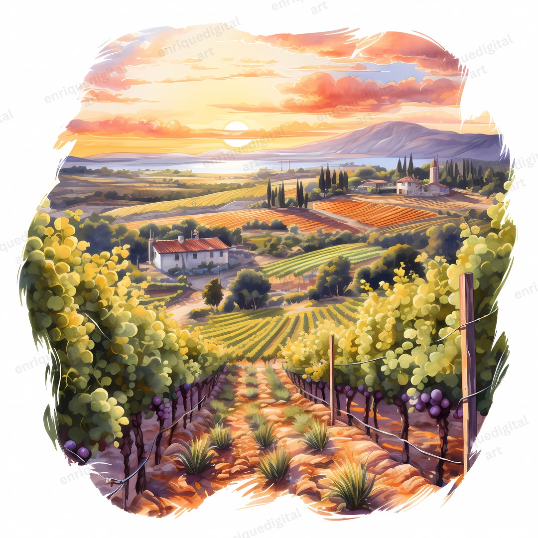 Watercolor Vineyard Clipart, Nature Landscape Scenes, PNG Format ...