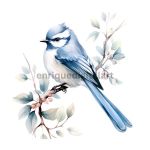 Watercolor Blue Birds Clipart, Card Making, Clipart Bundle, Digital ...