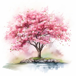Springtime Watercolor Clipart, Cherry Blossom Trees, High Quality Jpgs ...