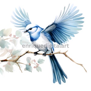 Watercolor Blue Birds Clipart, Card Making, Clipart Bundle, Digital ...