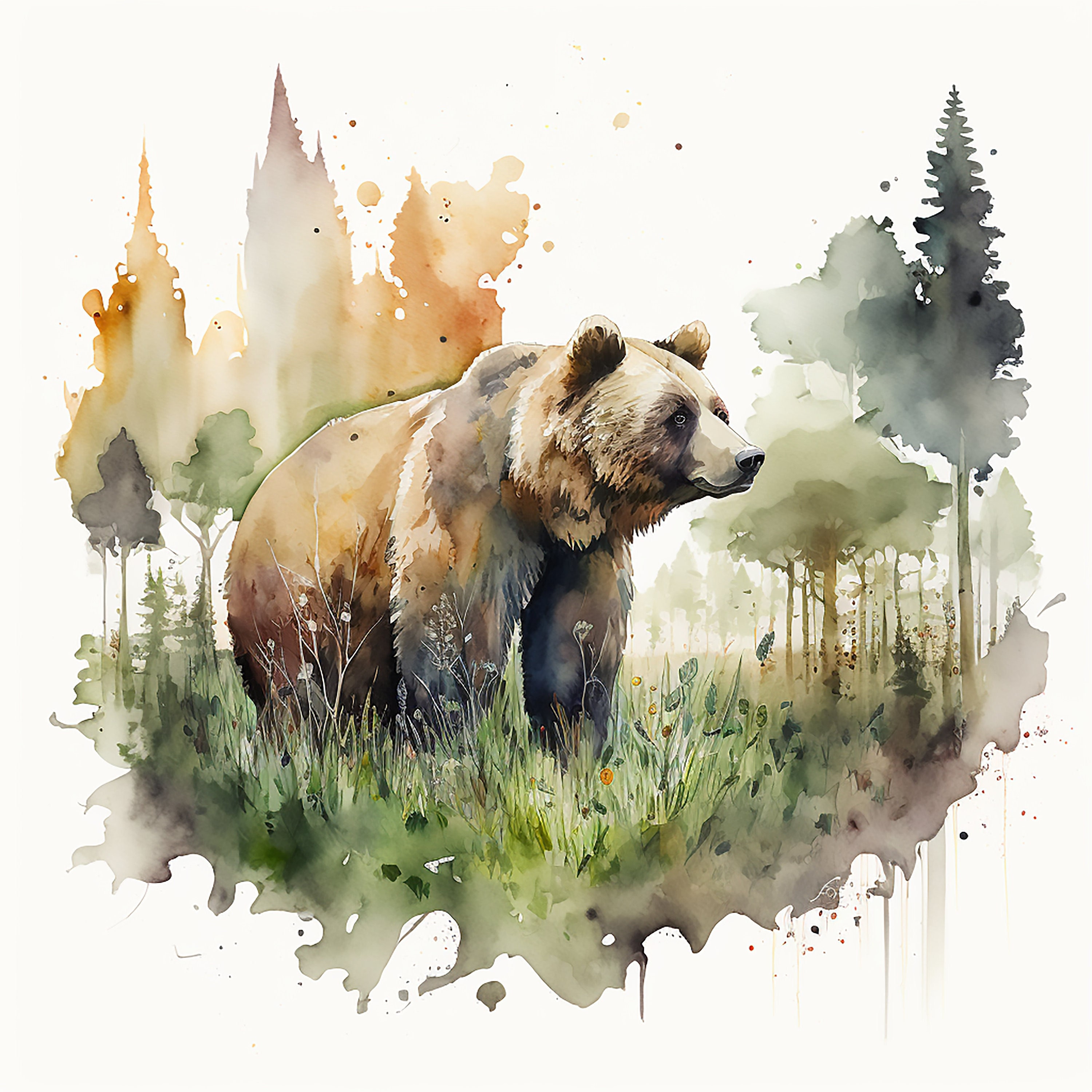 Bear Clipart Bear PNG Watercolor Bear Bear Illustation - Etsy