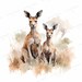 Watercolor Kangaroo Clipart Australian Animals Card Making - Etsy