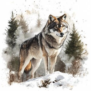 Woodland Wolf Images, Watercolor Clipart, Woodland Enthusiasts Clipart ...