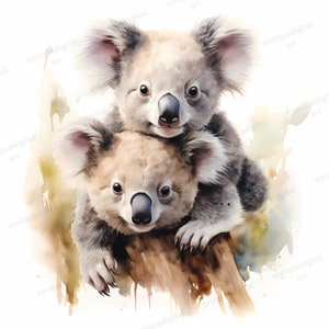 Watercolor Koala Clipart, Australian Animal, Card Making, Paper ...