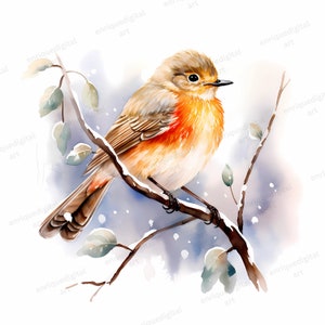 Watercolor Robin Clipart, Bird Clipart, Card Making, Paper Crafting ...