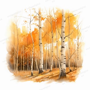 Watercolor Autumn Birch Trees Clipart, Autumn Landscape , PNG Format ...