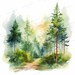 Watercolor Forest Clipart, Pine Trees Clipart, Forest Path, Landscape ...