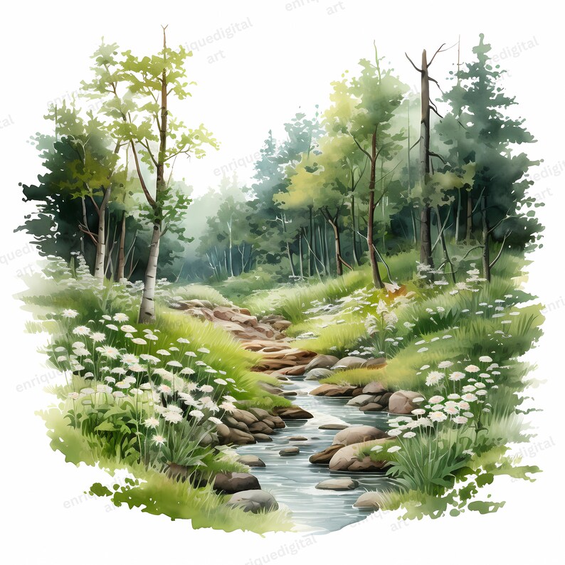 Watercolor Stream Clipart Wildflowers Landscape Nature - Etsy