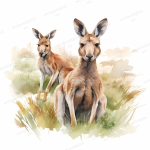 Watercolor Kangaroo Clipart, Australian Animals, Card Making, Paper ...