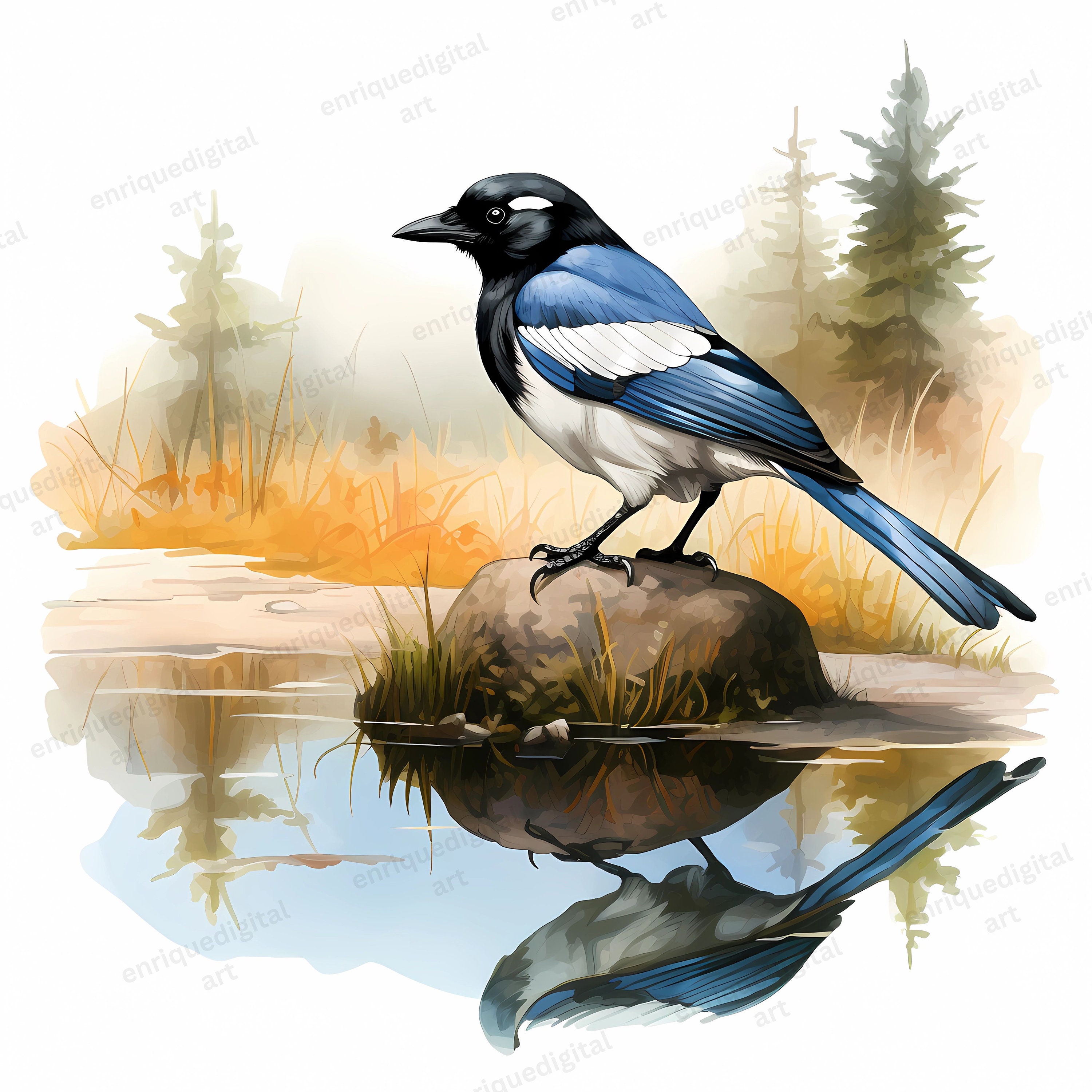 Watercolor Magpie Clipart, Animal Clipart, Card Making, Paper Crafting ...