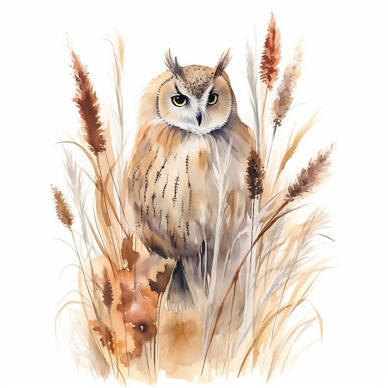 Watercolor Owl Clipart Owl Clipart PNG Printable Digital - Etsy