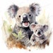 Watercolor Koala Clipart, Australian Animal, Card Making, Paper ...