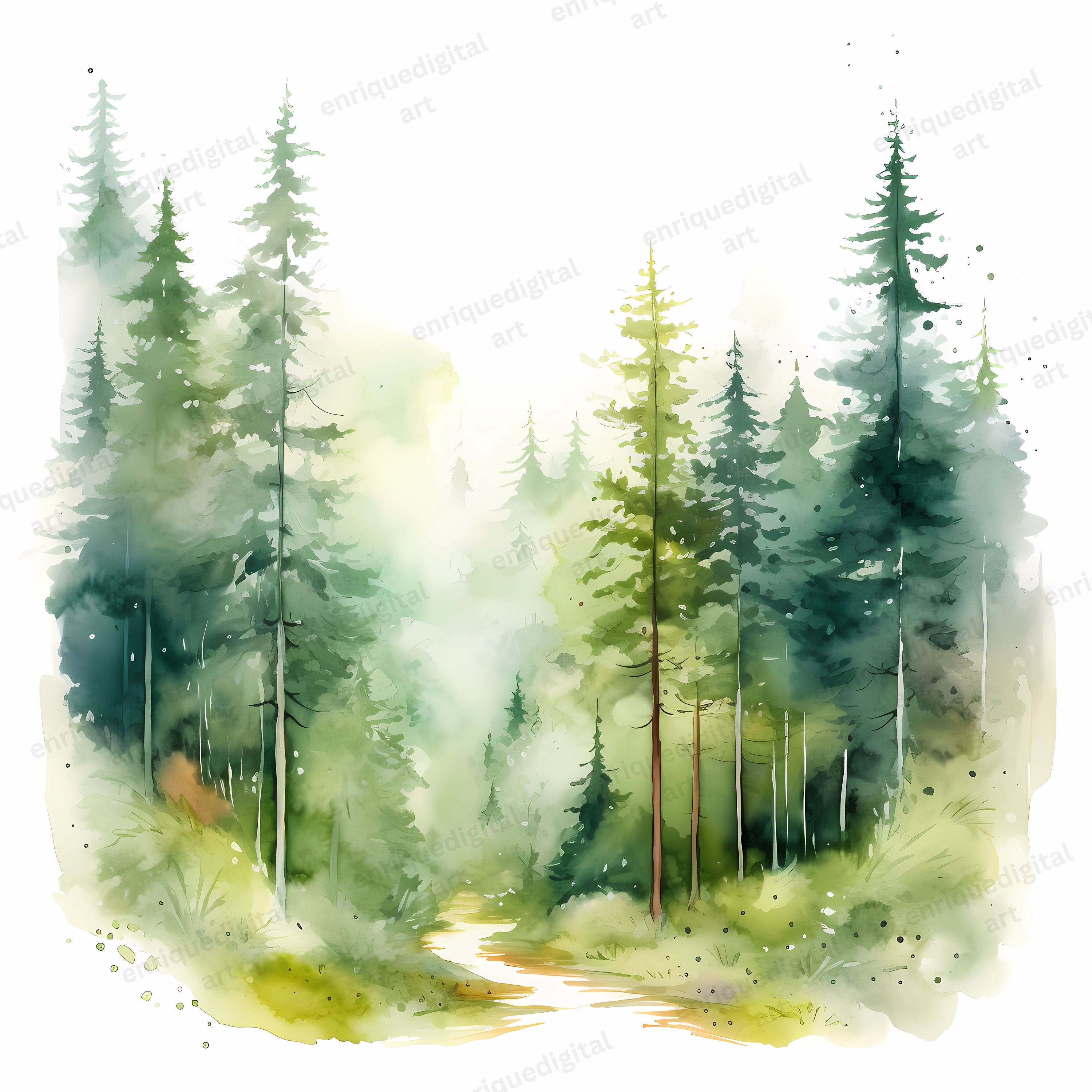 Watercolor Forest Clipart Pine Trees Clipart Forest Path - Etsy