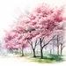 Springtime Watercolor Clipart, Cherry Blossom Trees, High Quality Jpgs ...