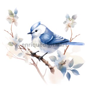 Watercolor Blue Birds Clipart, Card Making, Clipart Bundle, Digital ...
