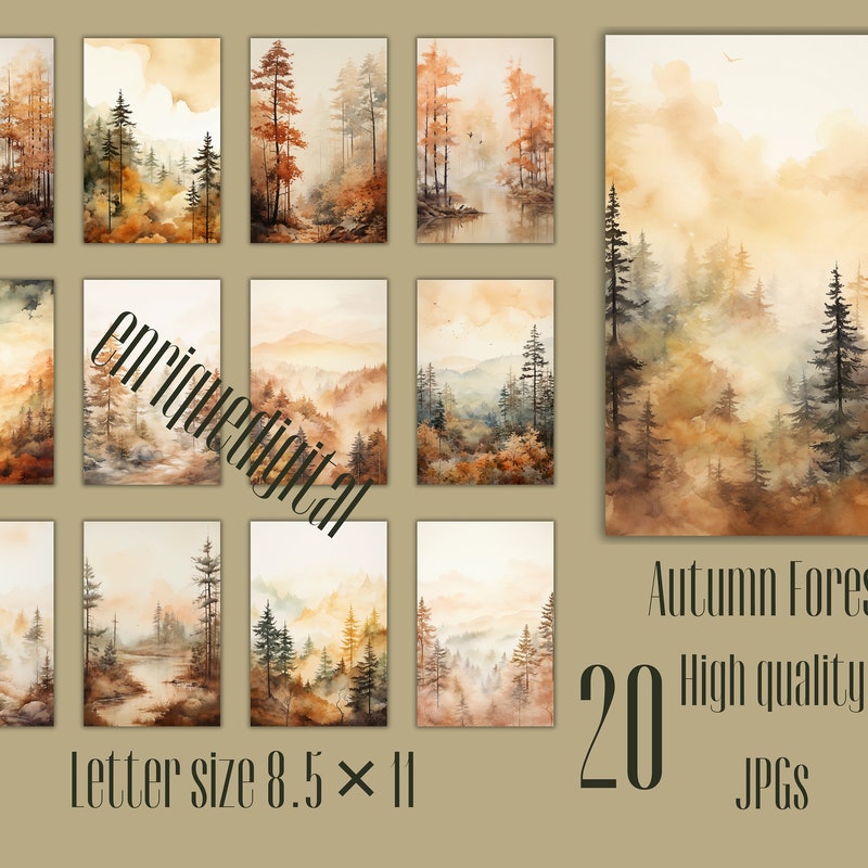 Forest Themed - Etsy