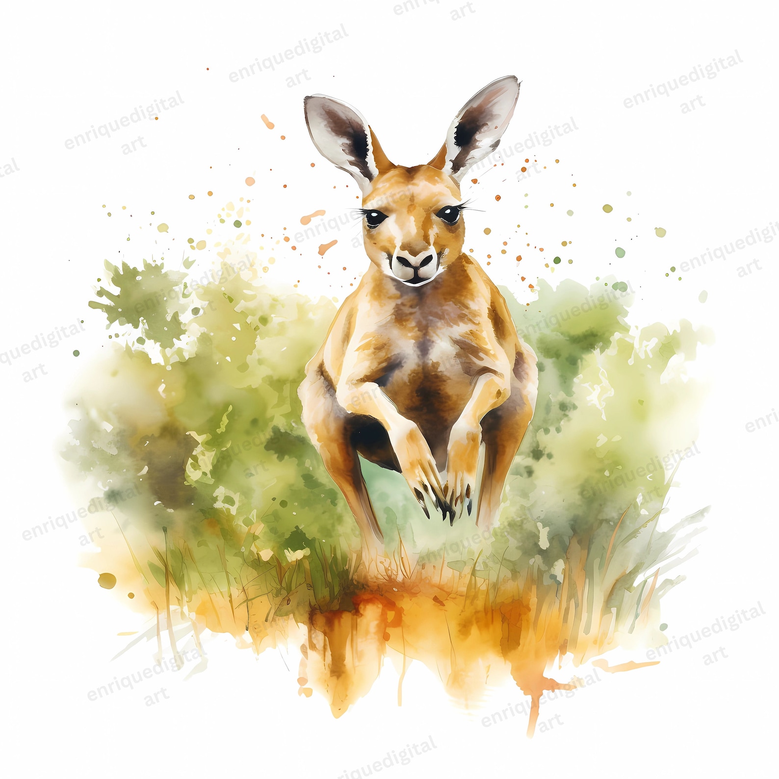 Watercolor Kangaroo Clipart Australian Animals Card Making - Etsy