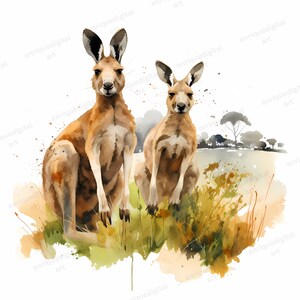 Watercolor Kangaroo Clipart, Australian Animals, Card Making, Paper ...