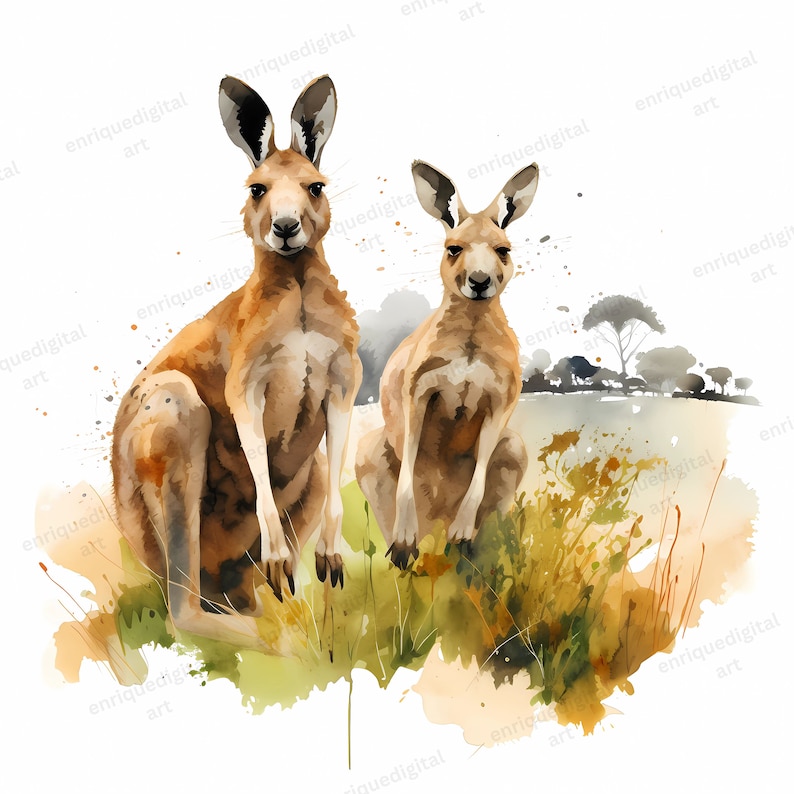 Watercolor Kangaroo Clipart Australian Animals Card Making - Etsy