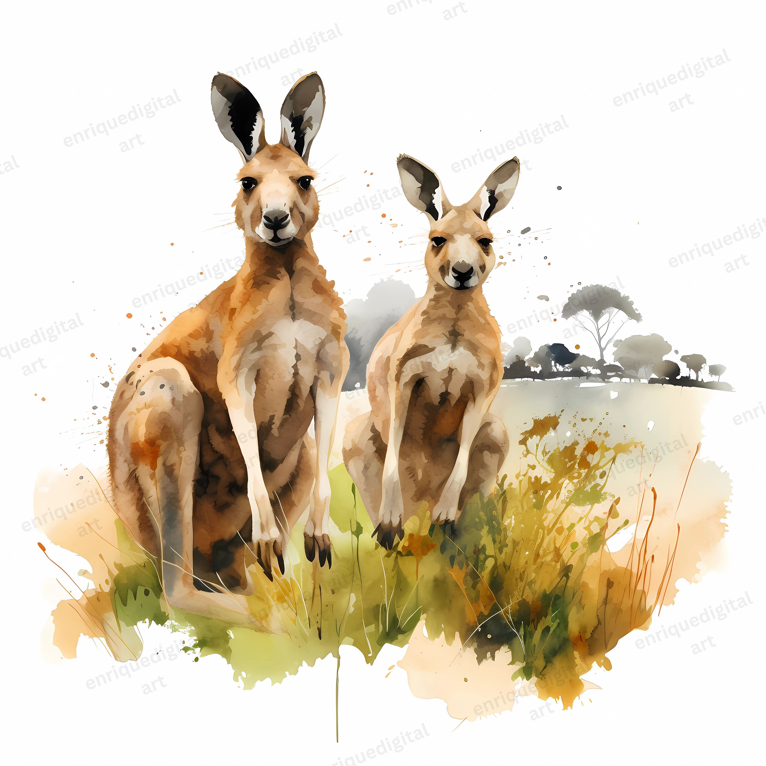Watercolor Kangaroo Clipart Australian Animals Card Making - Etsy