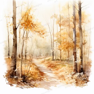 Watercolor Forest Clipart, Forest Landscape, Forest Illustations ...