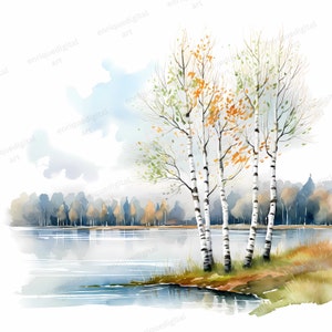 Watercolor Birch Trees Clipart, Lake Landscape, Card Making, Paper ...