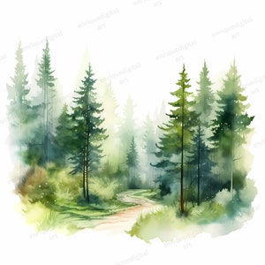 Watercolor Forest Clipart, Pine Trees Clipart, Forest Path, Landscape ...