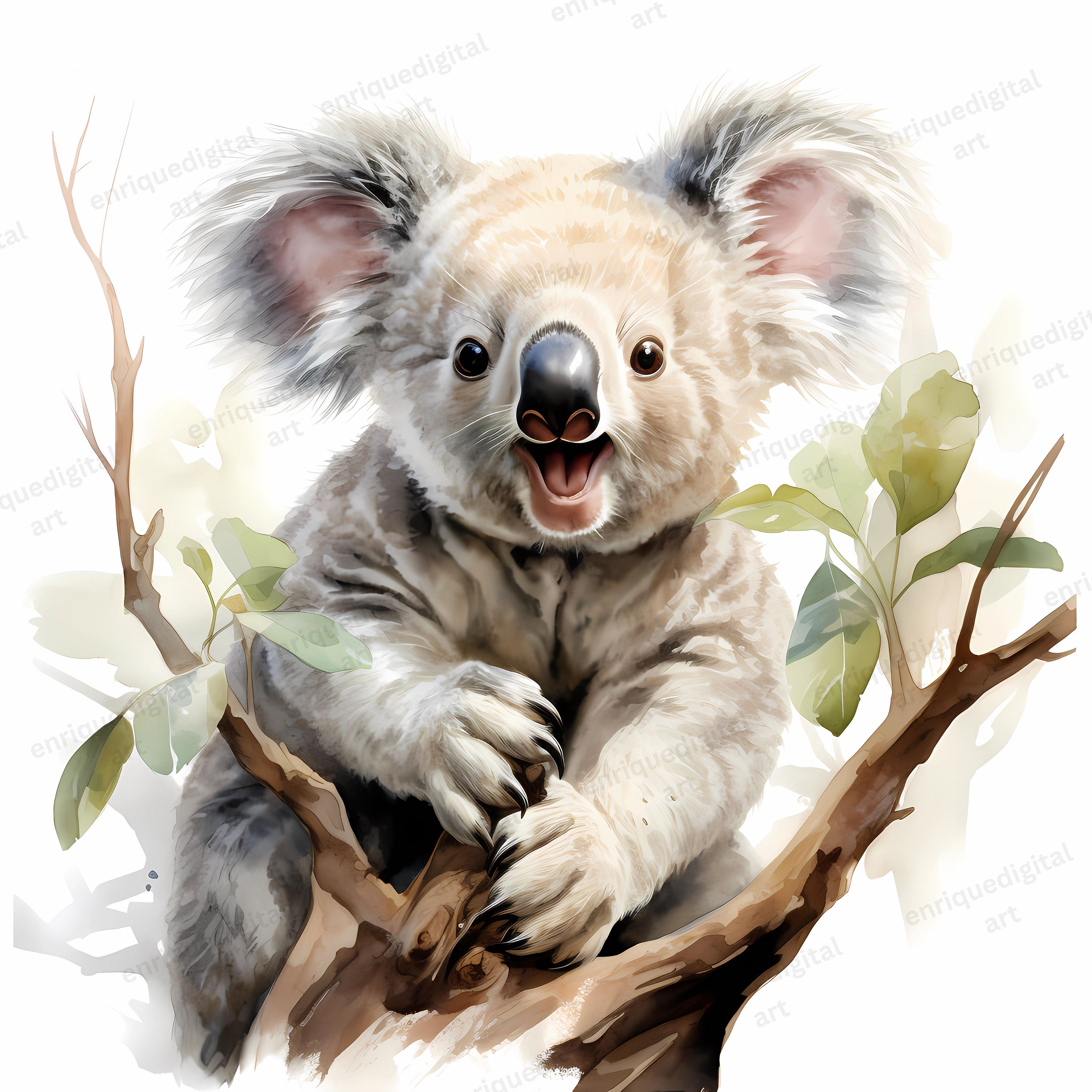 Watercolor Koala Clipart, Australian Animal, Card Making, Paper ...