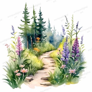 Watercolor Forest Path Clipart, Lanscape Clipart, Wildflowers Clipart ...