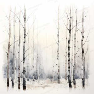 Watercolor Winter Birch Trees Clipart, Winter Landscape , PNG Format ...