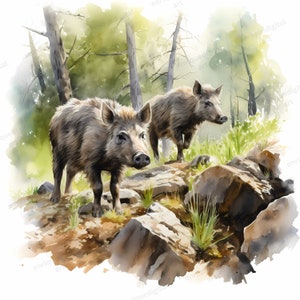 Watercolor Boars Clipart, Forest Landscape, Animal Clipart, Card Making ...