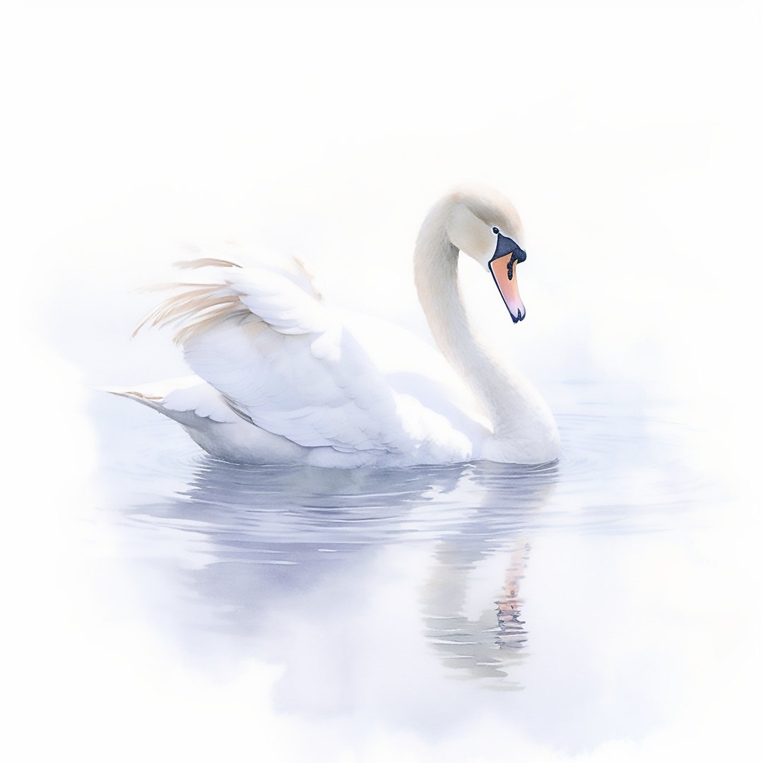 Swan Nursery Decor, Swan Print, Baby Swan, Swan Wall Art, Printable ...