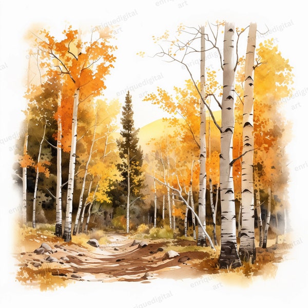 Watercolor Tree Birch - Etsy