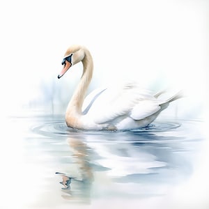 Swan Nursery Decor, Swan Print, Baby Swan, Swan Wall Art, Printable ...