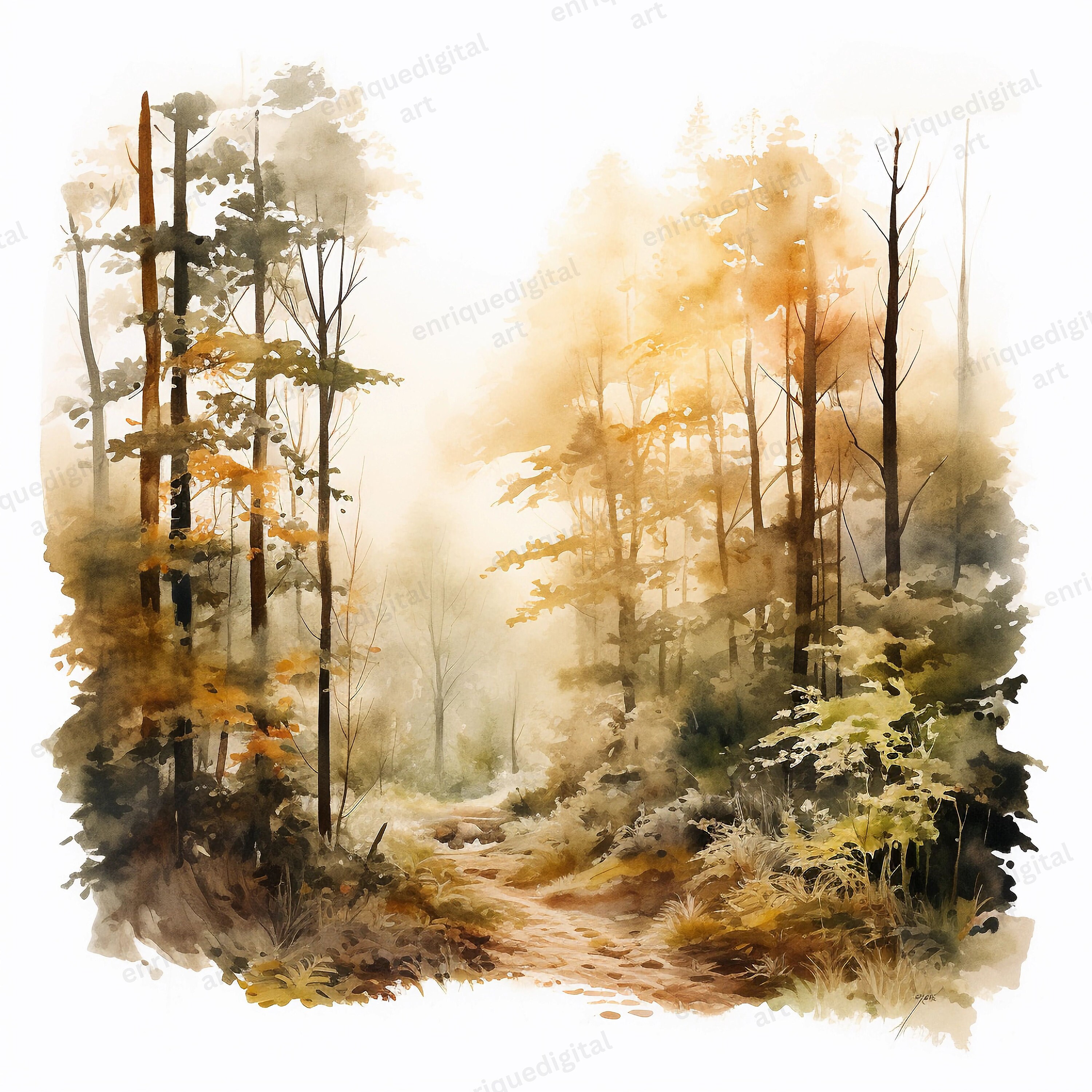 Watercolor Forest Clipart, Forest Landscape, Forest Illustations ...