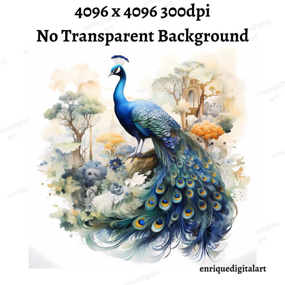 Watercolor Peacock Clipart, Australian Animals, Card Making, Paper ...