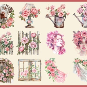Pink Roses Clipart Bundle, Watercolor Images, High Quality Pngs ...