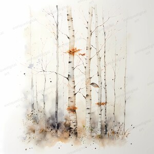 Watercolor Winter Birch Trees Clipart, Winter Landscape , PNG Format ...