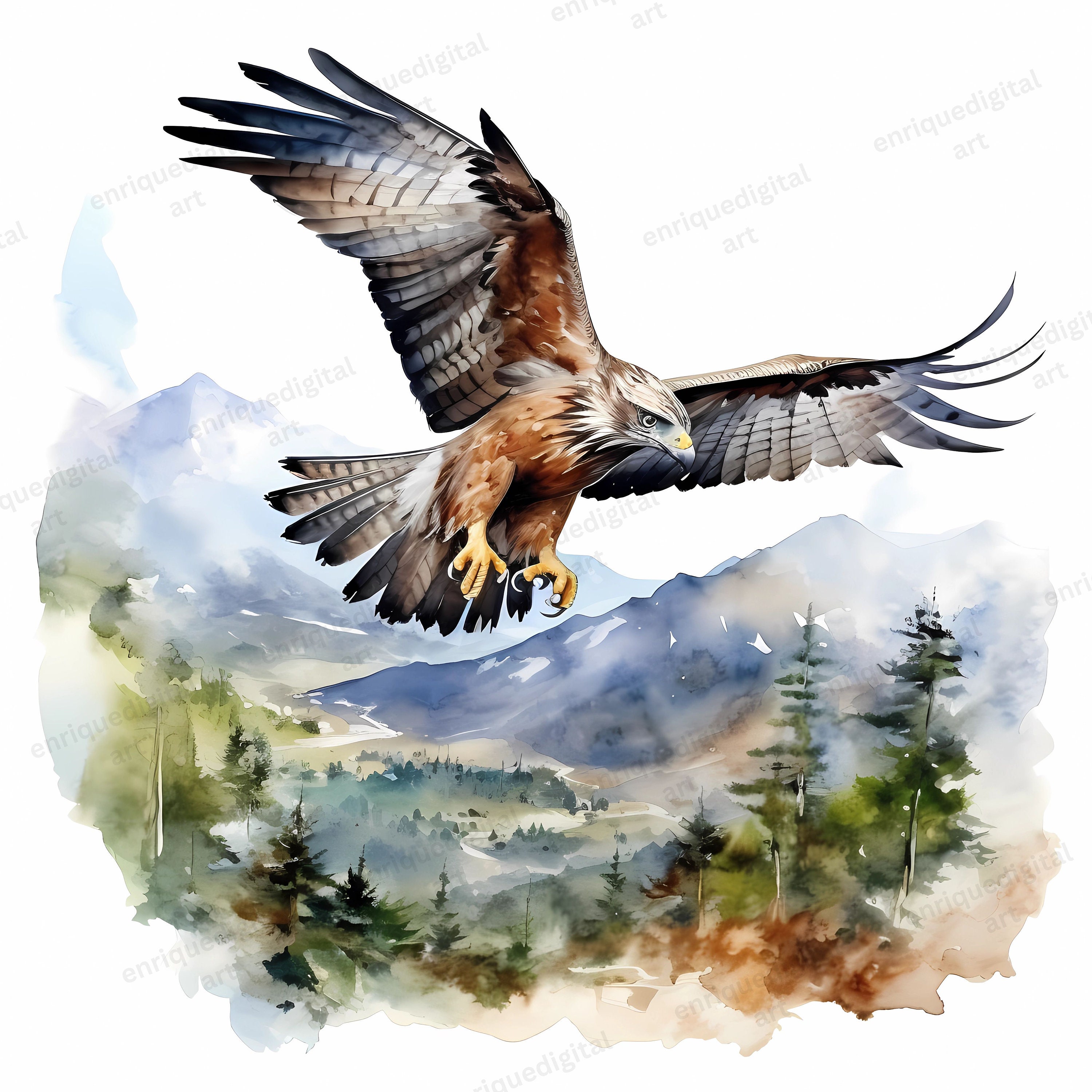 Watercolor Hawk Clipart, Landscape, Card Making, Paper Crafting ...