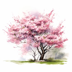 Springtime Watercolor Clipart, Cherry Blossom Trees, High Quality Jpgs ...