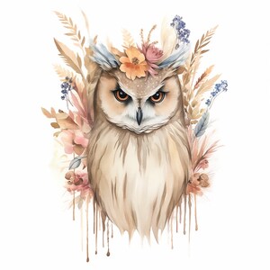 Watercolor Boho Owl, Boho Owl Watercolor, Owl Clipart PNG, Printable ...