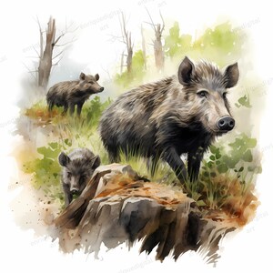 Watercolor Boars Clipart, Forest Landscape, Animal Clipart, Card Making ...