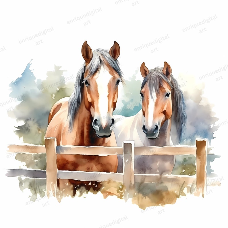 Watercolor Horse Clipart Animal Clipart Horse Images Horse - Etsy