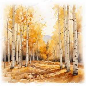 Watercolor Autumn Birch Trees Clipart, Autumn Landscape , PNG Format ...