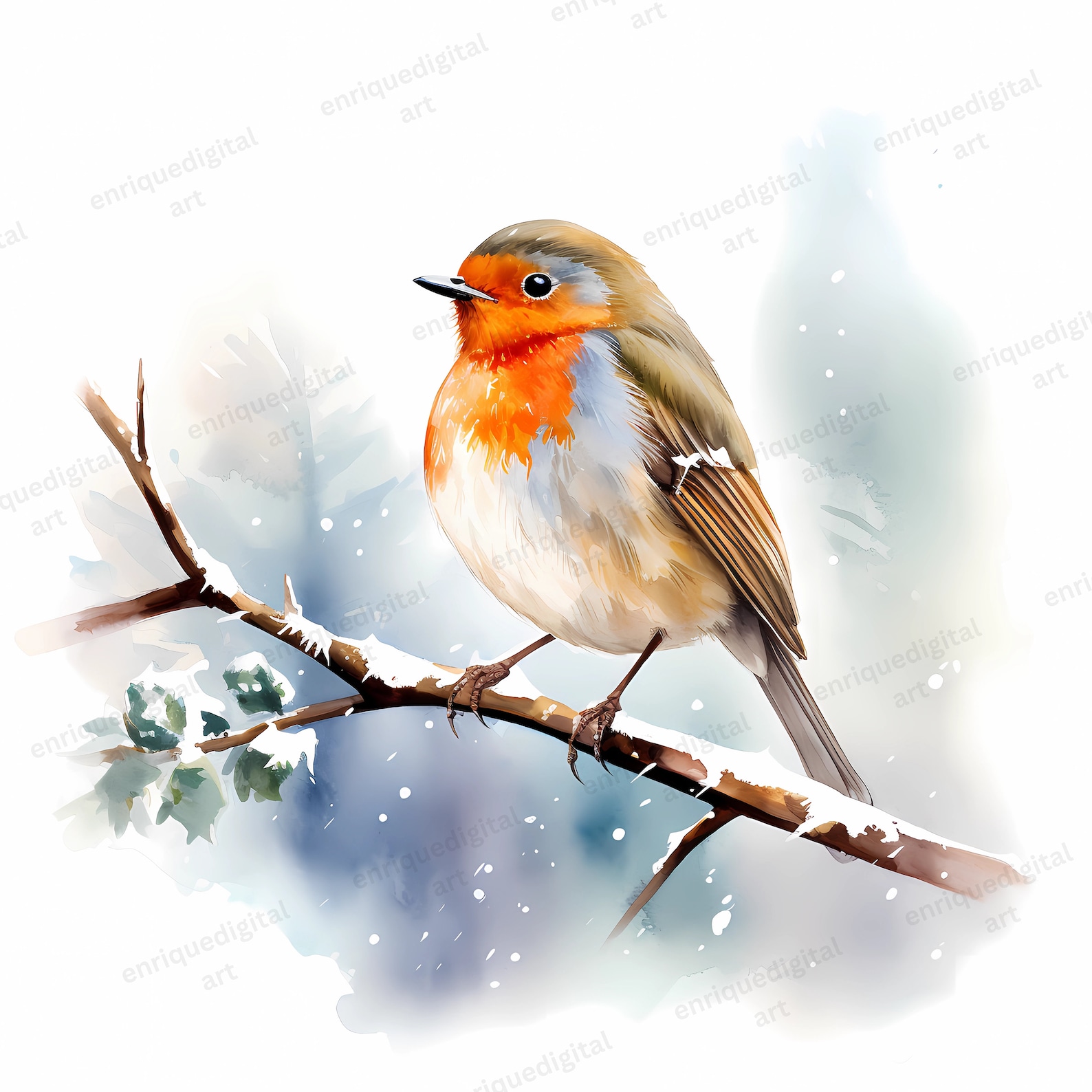 Watercolor Robin Clipart, Bird Clipart, Card Making, Paper Crafting ...
