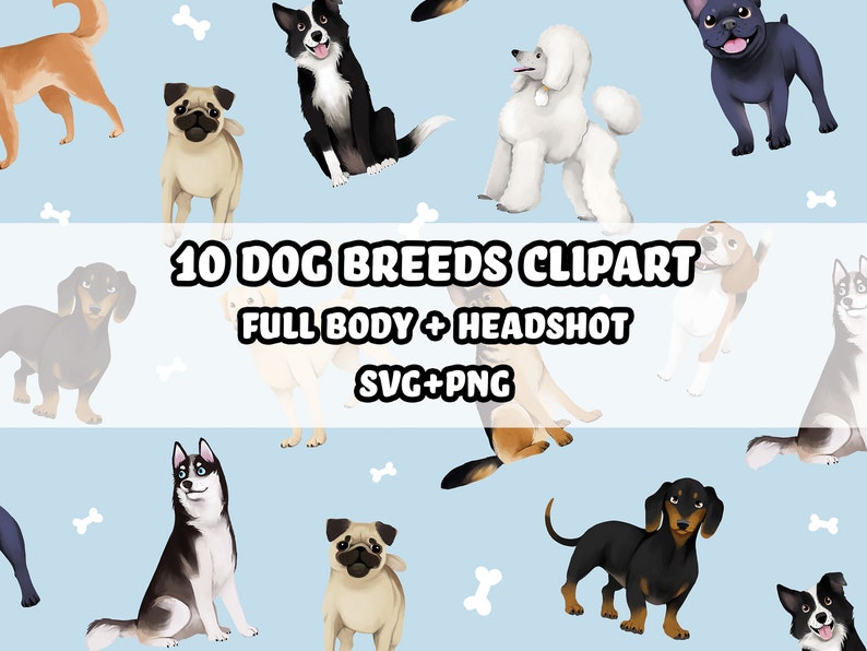 10 Dog Breeds Clipart Bundle Digital SVG & PNG Graphics for - Etsy