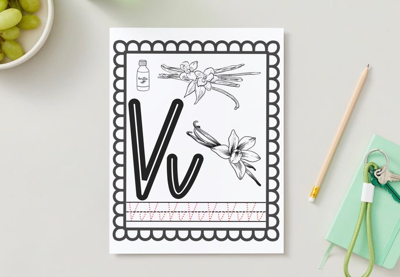 Homeschool Preschool Alphabet Coloring & Practice Printable File Abc's ...