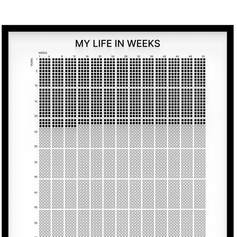Life in Weeks Poster - Etsy