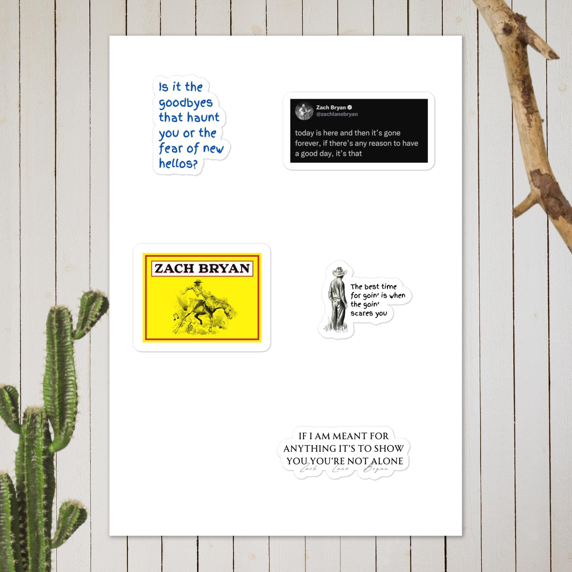 Zach Bryan Sticker Sheet Country Music Stickers - Etsy