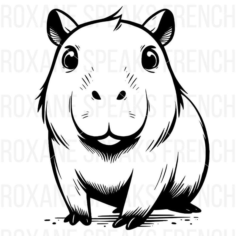 Cute Realistic Capybara Outline SVG for DIY and Cricut Projects - Etsy